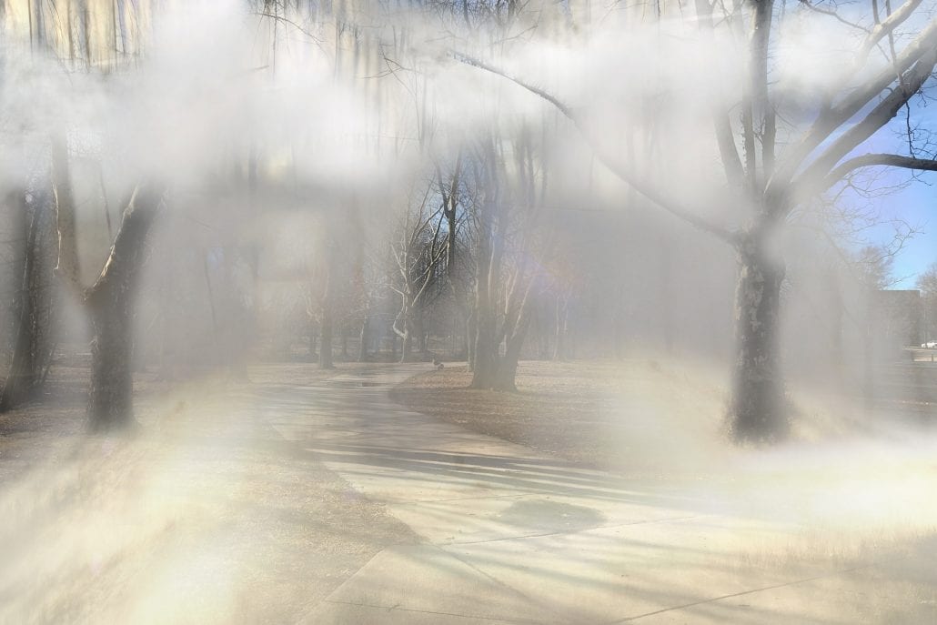 Fog x Canopy, Clemente Field, Back Bay Fens - The Emerald Necklace ...